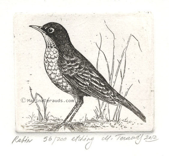 Fine Art Etchings by Marina Terauds